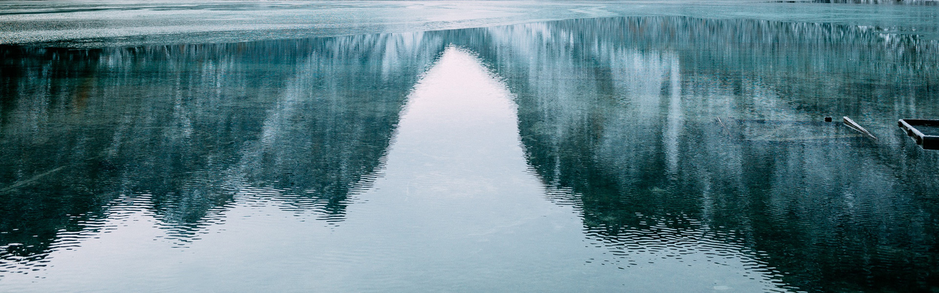 Home | Greendale Community School